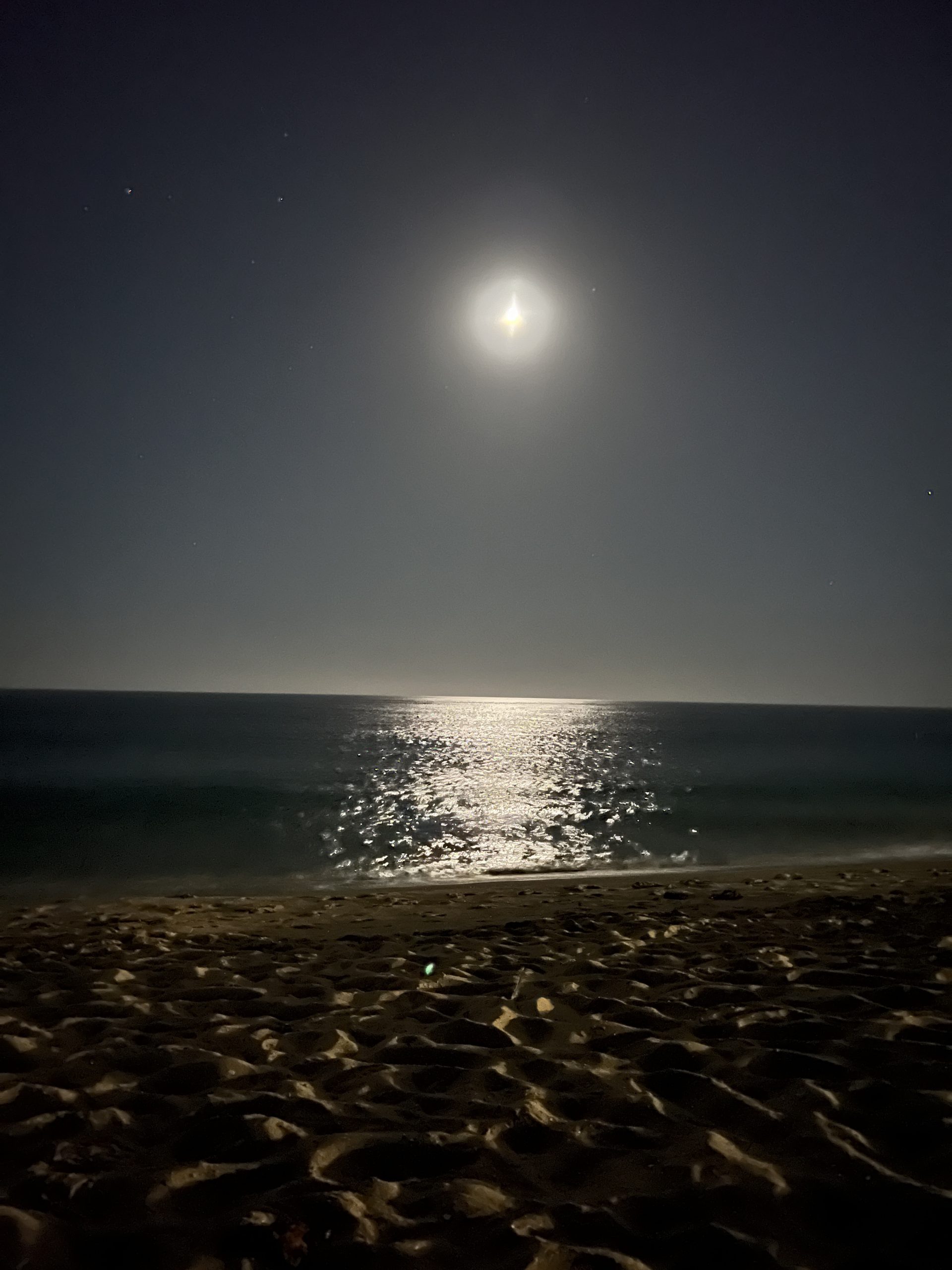 BITE: Lambs Among Wolves… – Bourland Family Blog